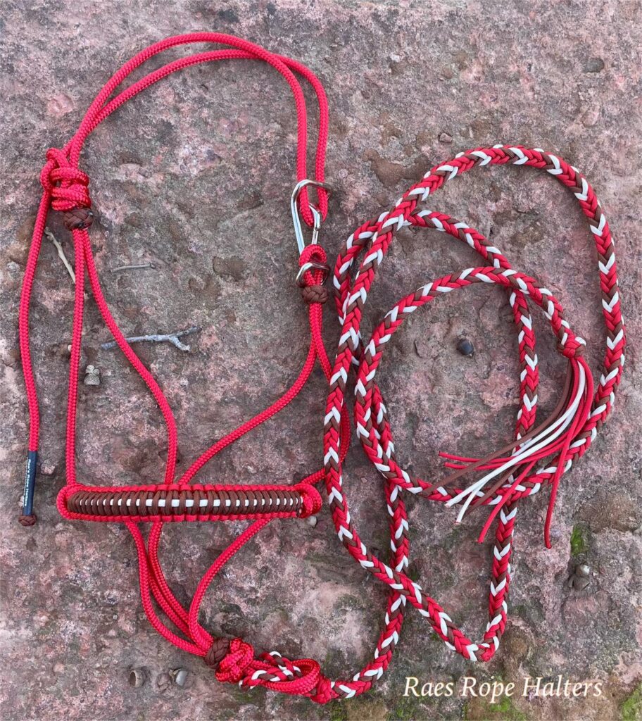 HOOK HALTER/8’ LEAD COMBO – Rae's Rope Halters