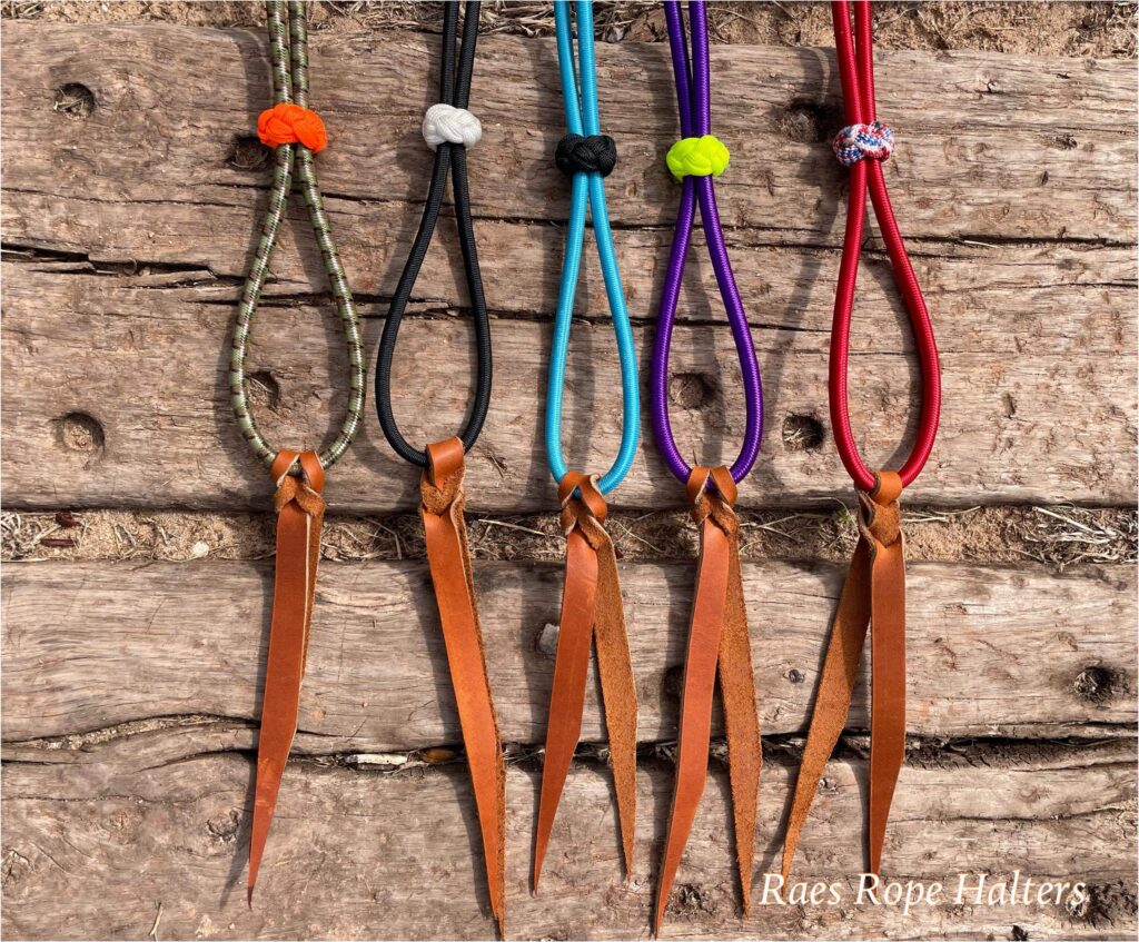 BUNGEE ROPE HOLDER – Rae's Rope Halters